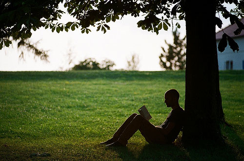 20 Quick Reads that Will Change the Way You Live, Love and Work