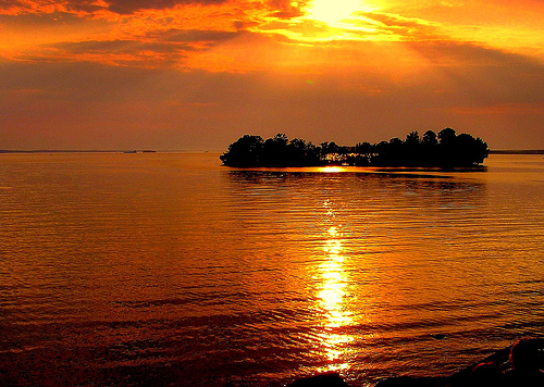 12 Steps to Make a Dream a Reality